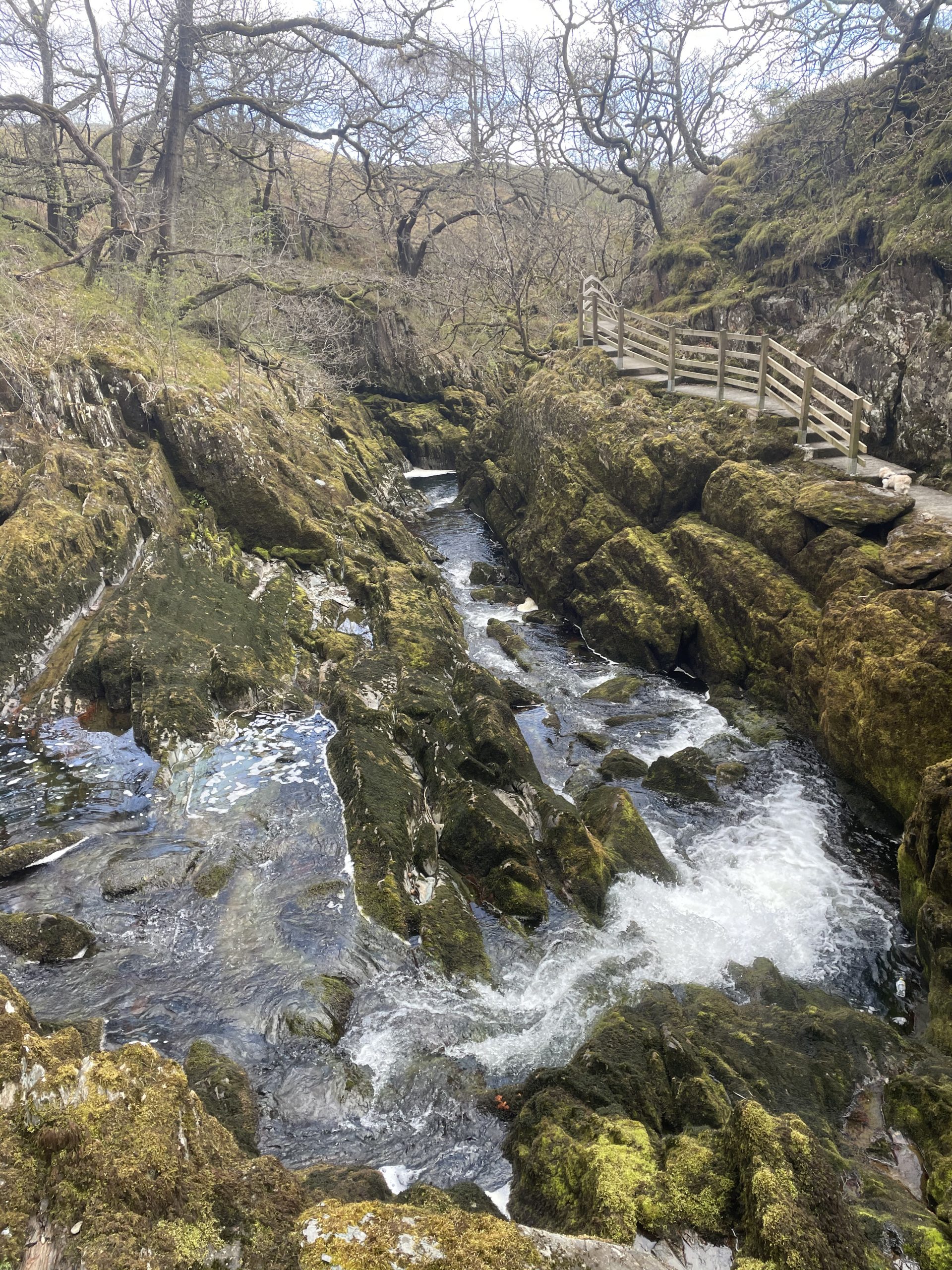 Ingleton Waterfalls Trail - Little Miss Yorkshire