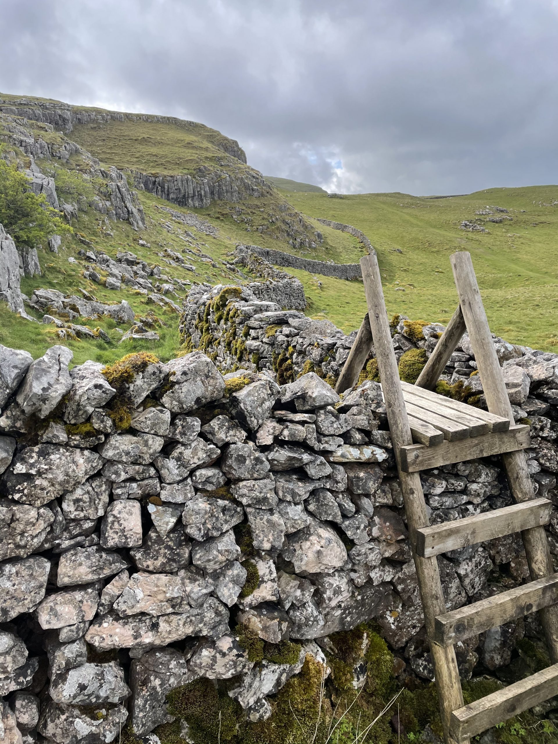Highlights of Settle - Little Miss Yorkshire